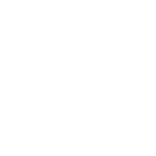 maxmaniadigital.com